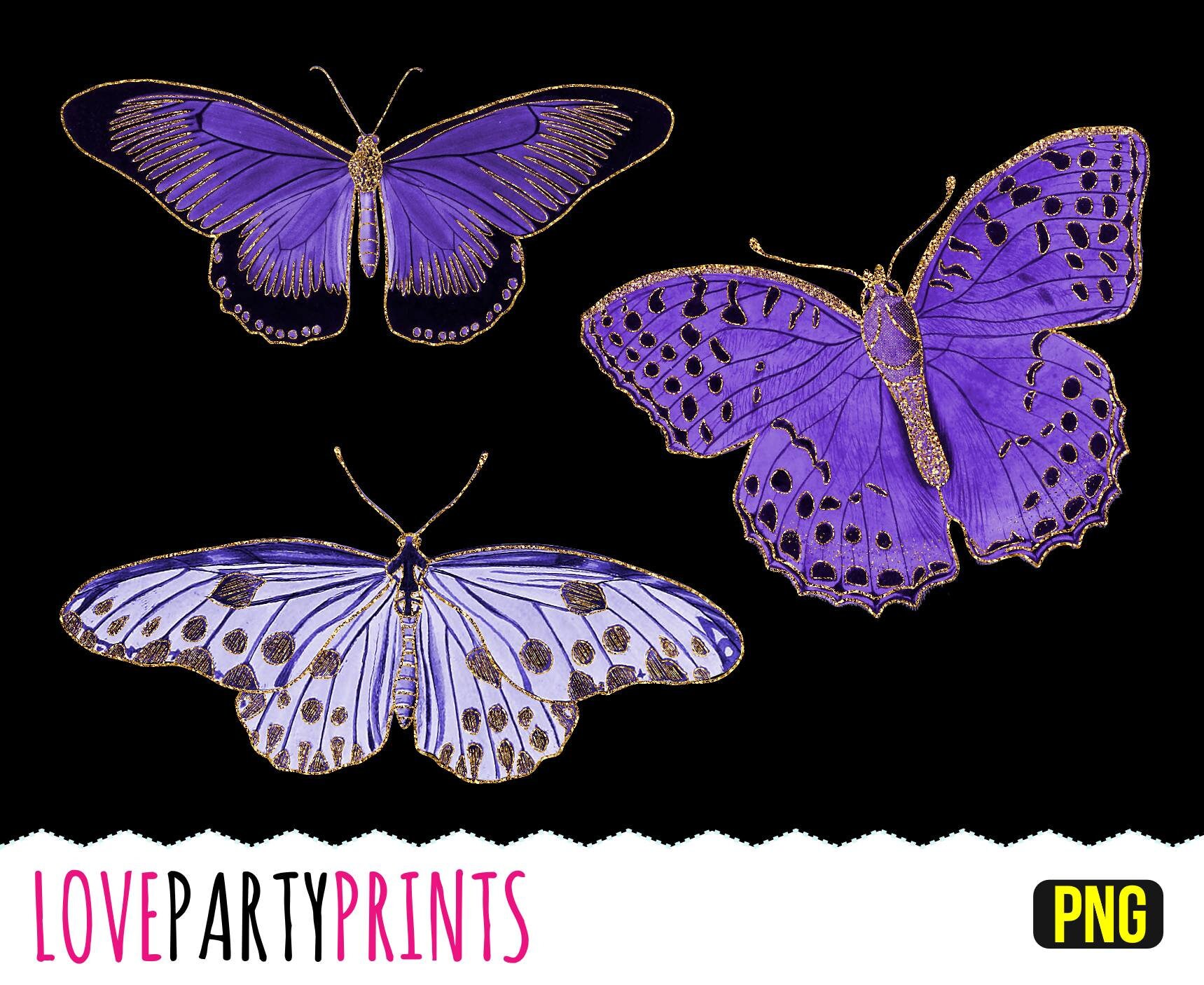 Purple Butterflies Clipart PNG format Gold Glitter | Etsy