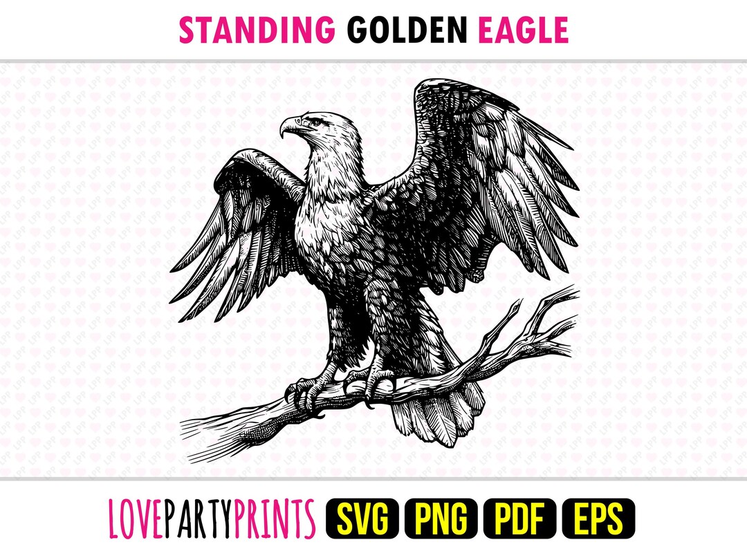 Golden Eagle Design SVG, PNG, EPS, Pdf, Silhouette Line Art, Machine Cut Laser Vector Graphic ...