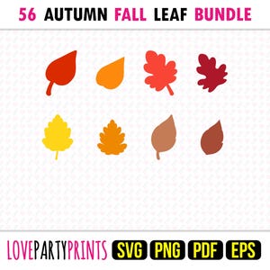 Autumn Fall Leaf Bundle Svg, EPS, PNG, PDF, Halloween Thanksgiving ...