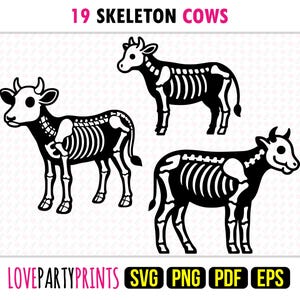 Cow Skeleton SVG Bundle, EPS, PNG, Pdf, Heifer Calf Skeletons Bones ...