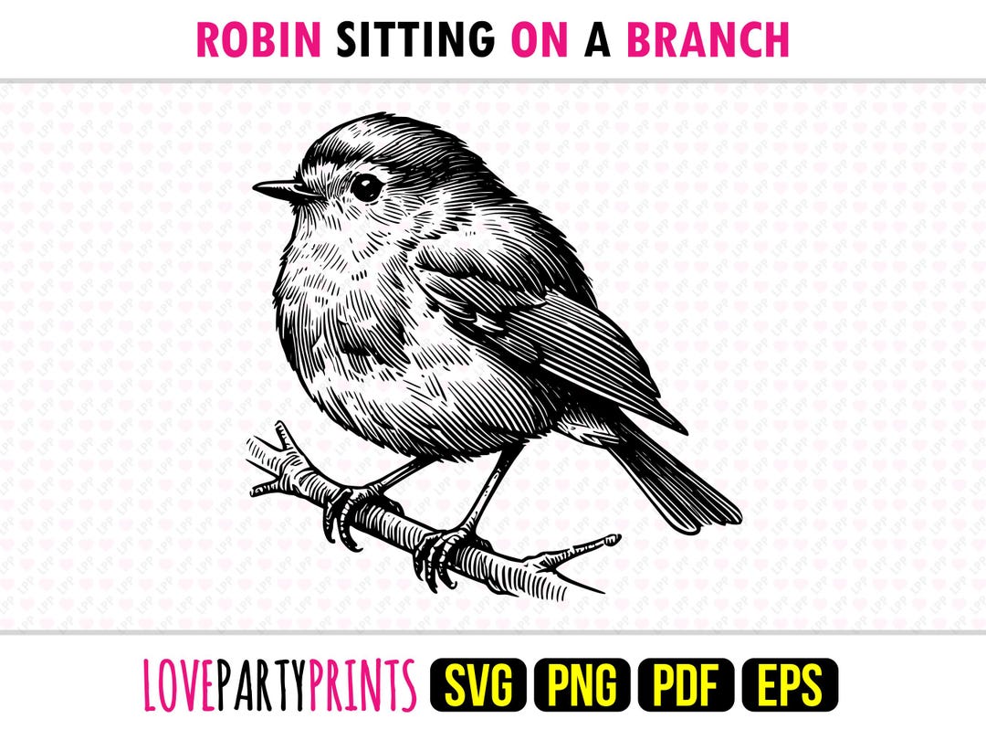 Robin on Branch SVG, PNG, EPS, Pdf, Line Drawn, Machine Cut Laser Cnc ...