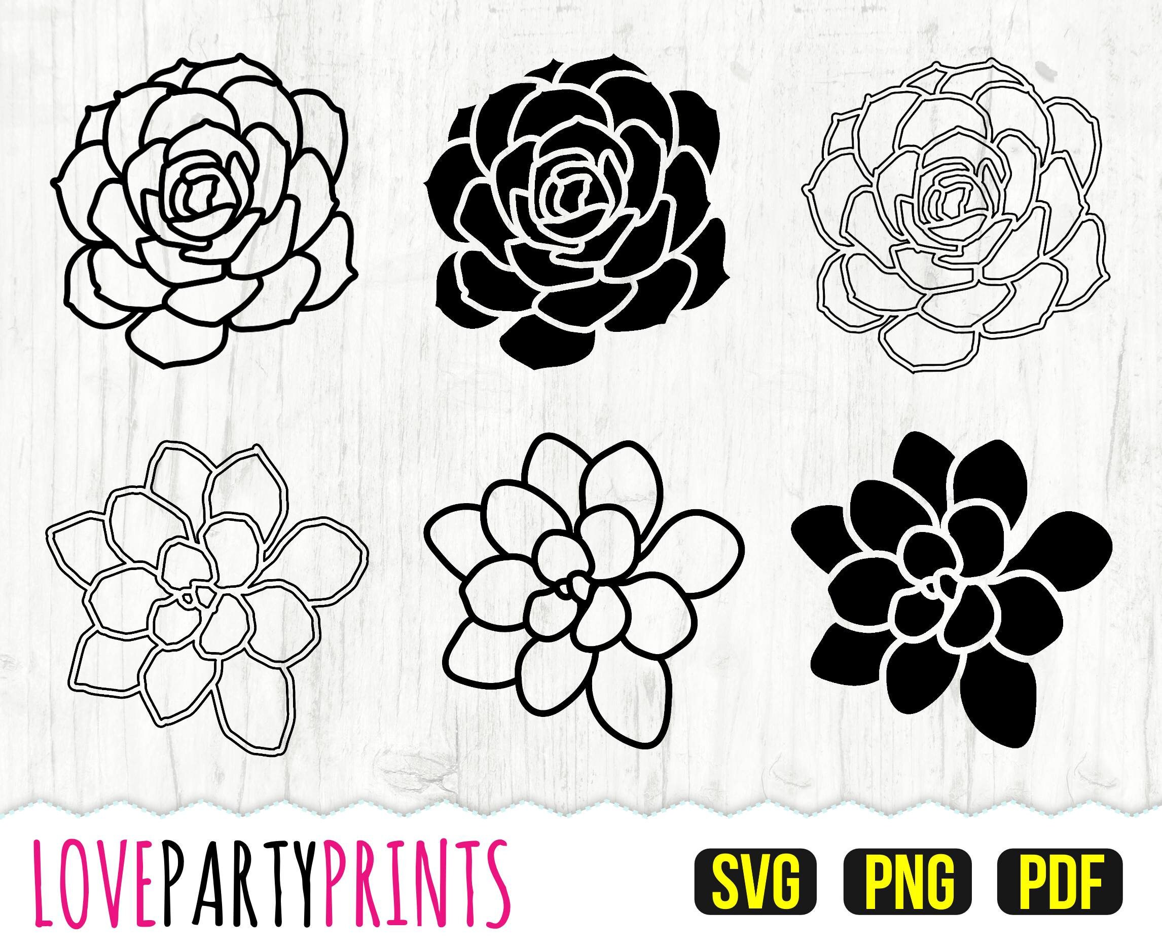 Succulent SVG Bundle PNG PDF 36 succulent clipart paper | Etsy
