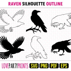 Raven Silhouette Outline Bundle SVG, PNG, EPS, Pdf, Crow Bird Cutting ...