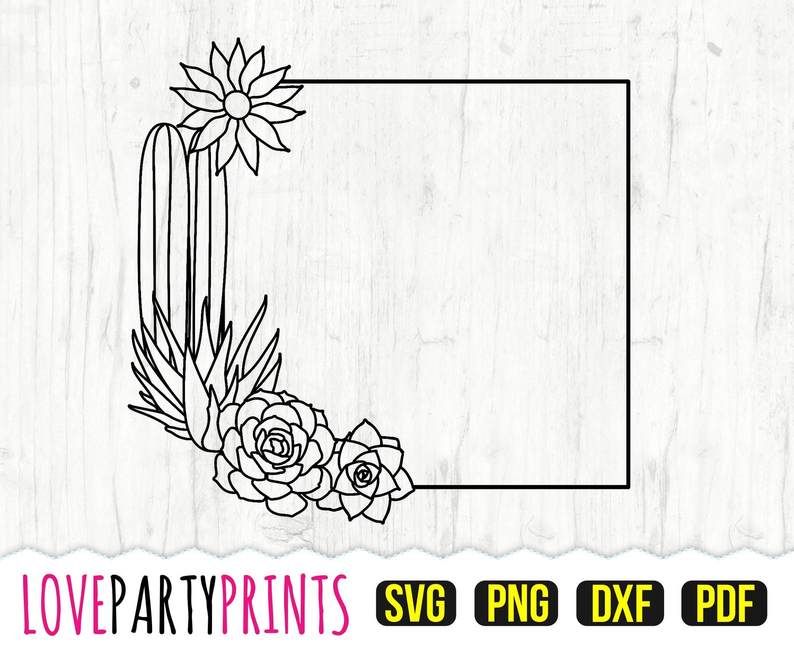 Cactus Frames SVG DXF PNG Pdf Cactus Border Svg Cactus - Etsy