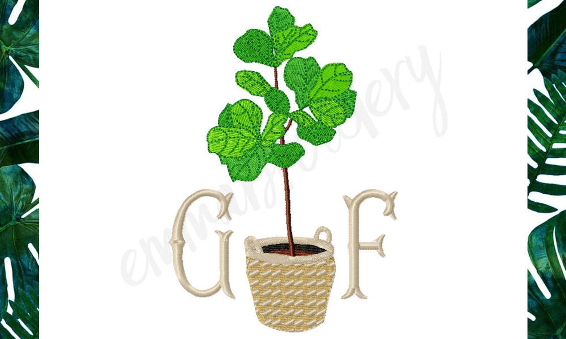 5 Sizes Fiddle Leaf Fig Embroidery Design 3 4 | Etsy