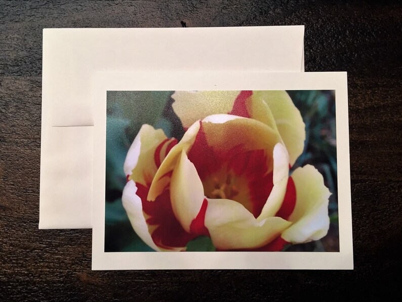 Unique photo note cards SPRING BLOOMS blank greeting cards | Etsy