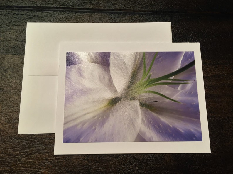 Unique photo note cards SPRING BLOOMS blank greeting cards | Etsy
