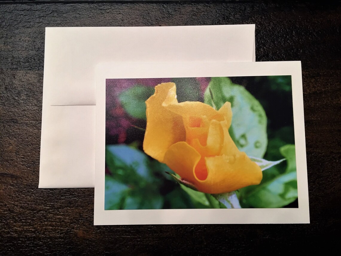 Unique photo note cards SPRING BLOOMS blank greeting cards | Etsy