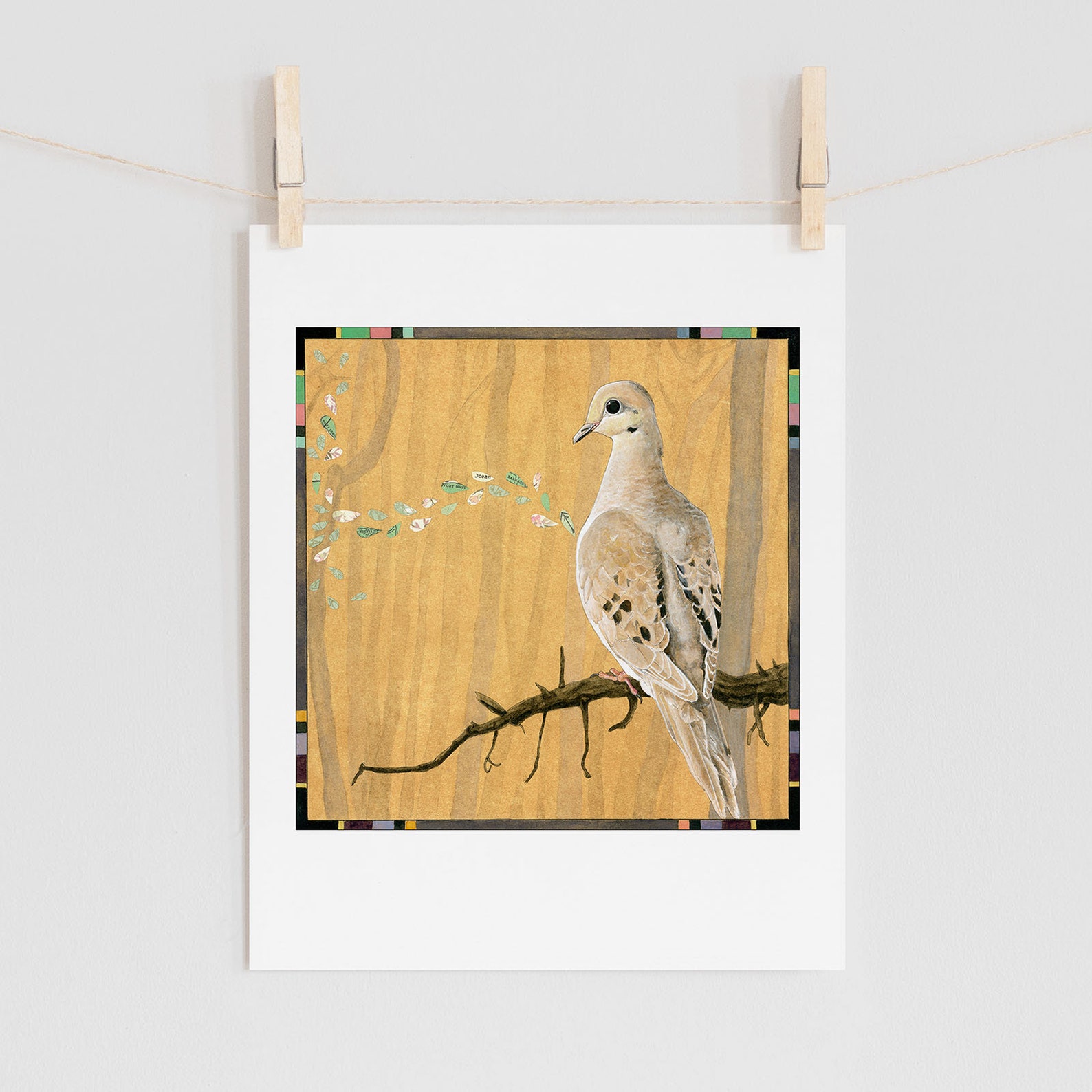 Mourning Dove Watercolor Painting Fine Art Print | Etsy