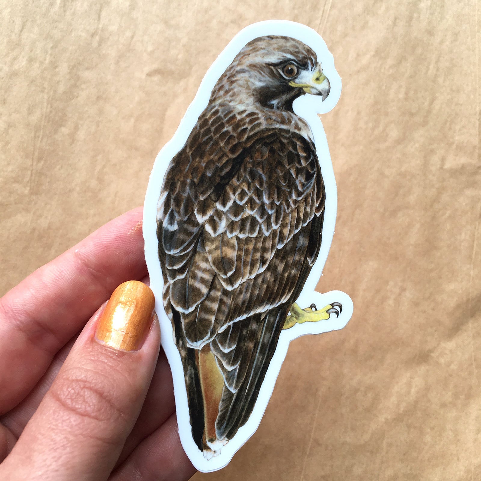 Red-tailed Hawk Vinyl STICKER - Etsy