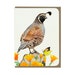 Greeting Card - Quail and Poppies (and Butterfly) - Blank Card - Etsy