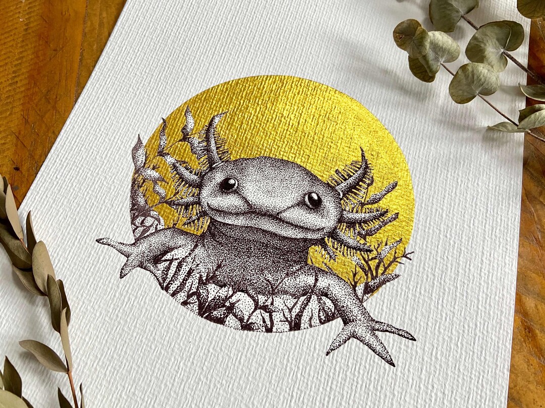 Axolotl Art Print, Axoltl Drawing, Wall Art, Animal Sketch, Wildlife ...
