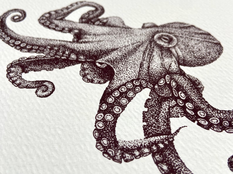 Octopus Art Print, Octopus Illustration, Octopus Drawing, Wall Art ...