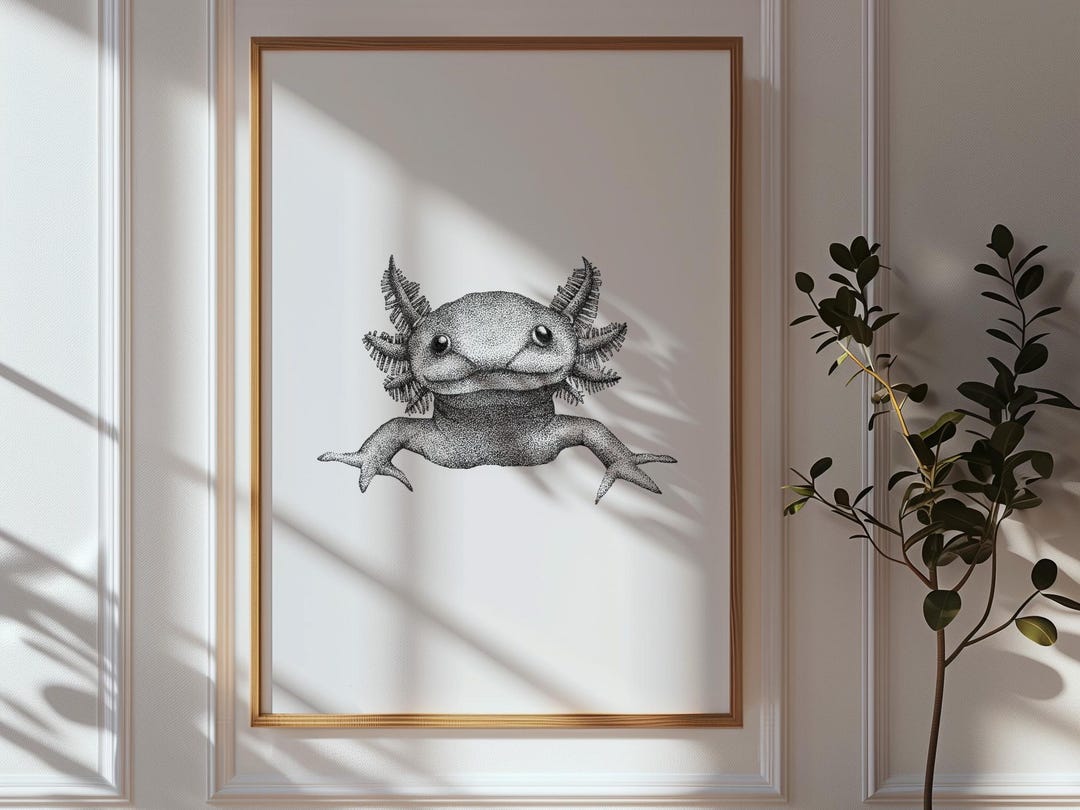 Axolotl Art Print, Axolotl Illustration, Axolotl Drawing, Wall Art ...