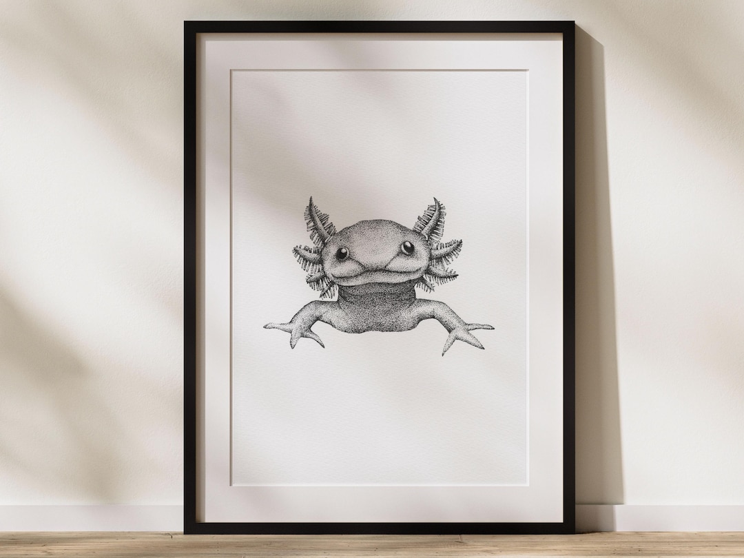 Axolotl Art Print, Axolotl Illustration, Axolotl Drawing, Wall Art ...