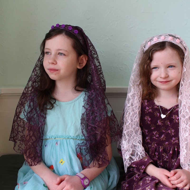 Pink Lace Chapel Veils - Etsy