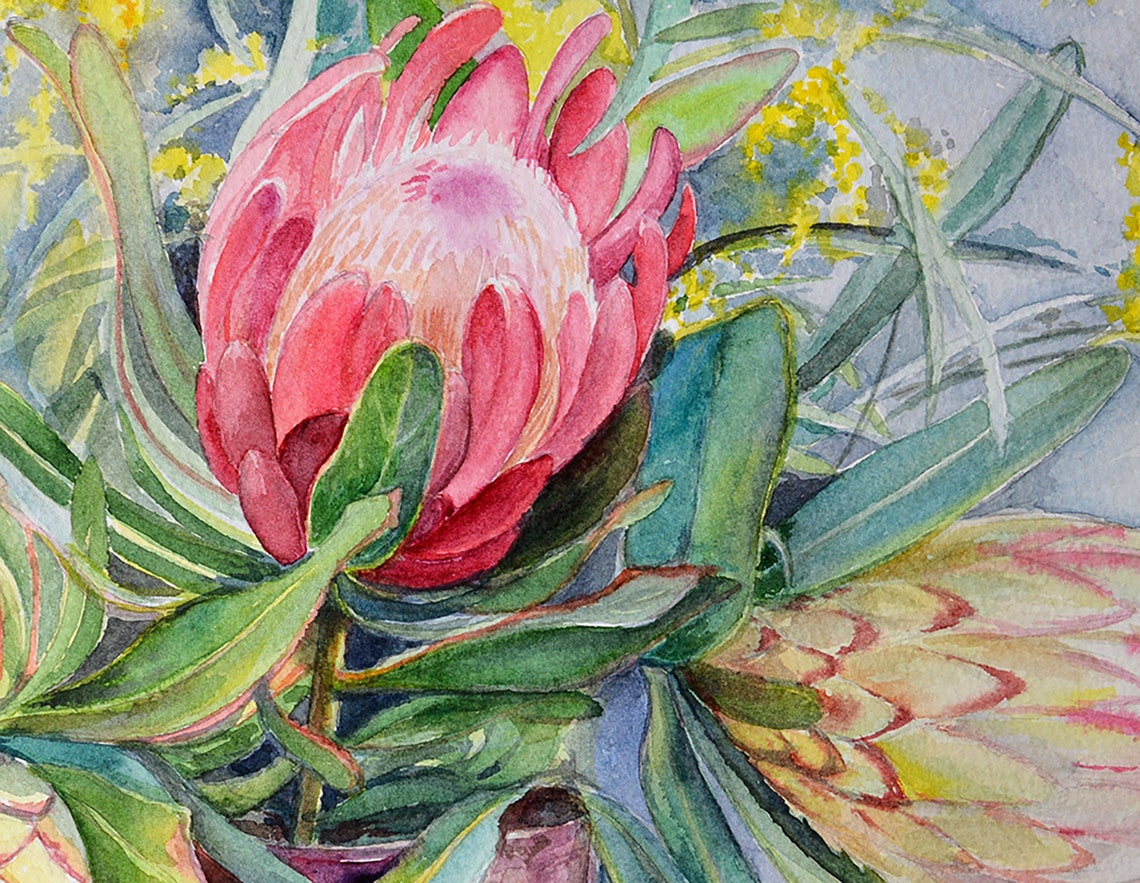 Bunch of Proteas Painting Protea Watercolour Artwork - Etsy Australia