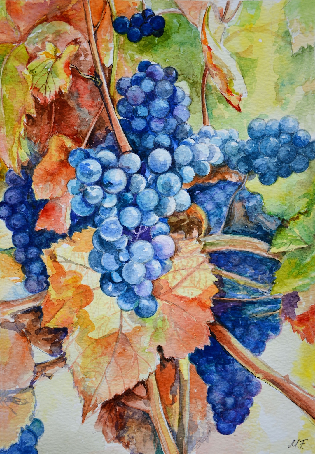 Original Watercolour Grapes Painting, Still Life Artwork - Etsy