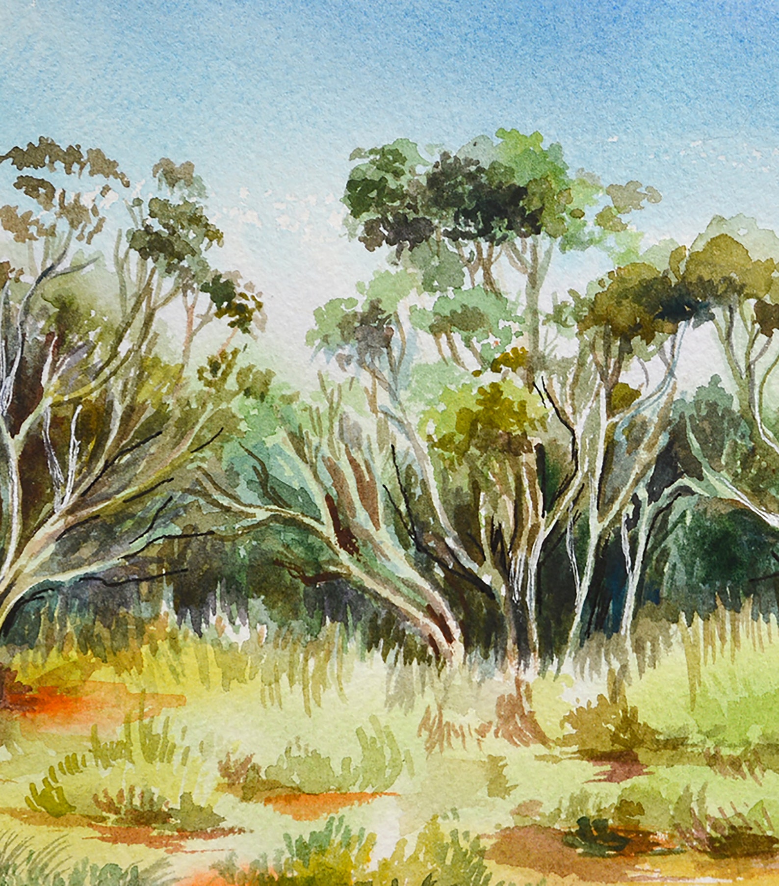 Australian Landscape Bush Watercolour Painting Australian | Etsy