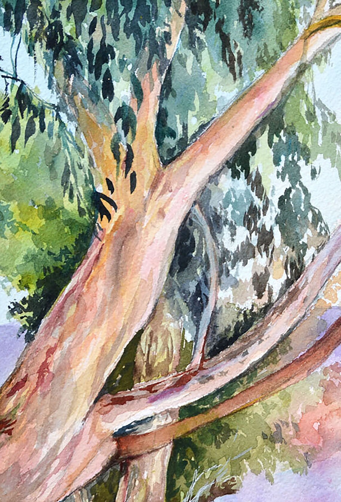 Australian Landscape, Australia Painting, Sunrise Painting, Eucalyptus ...