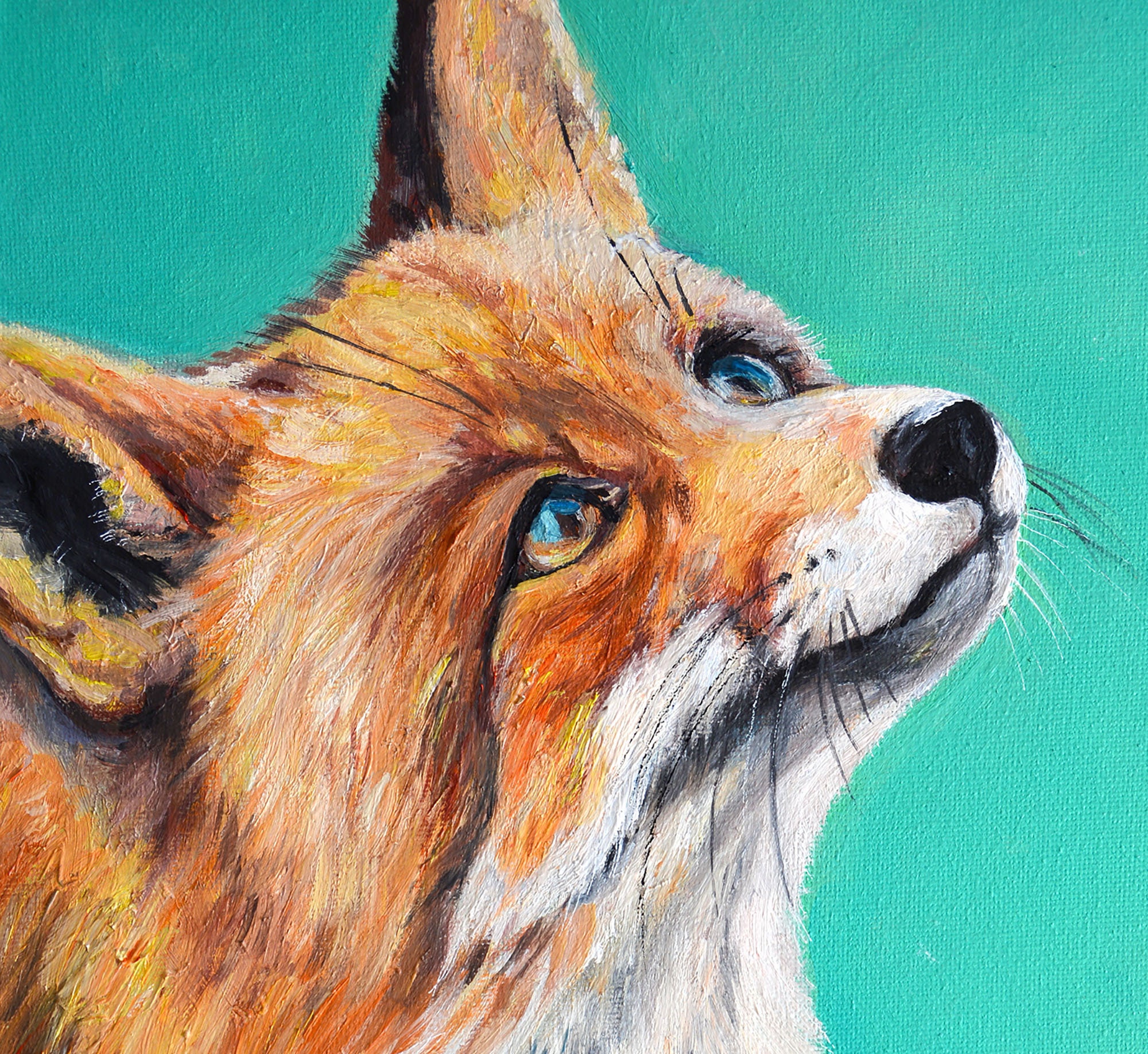 Painting Of Swift Fox