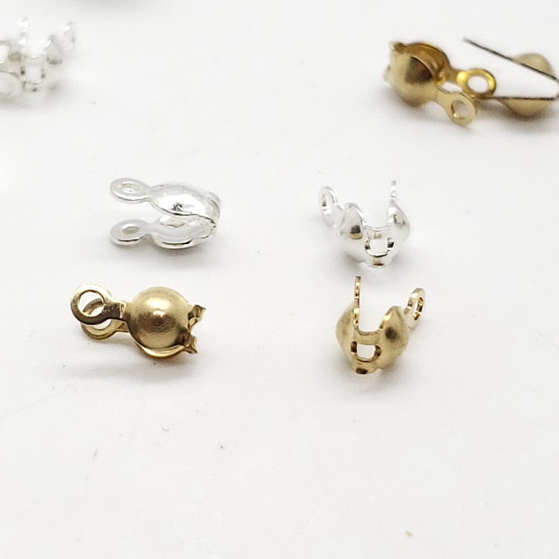 Clam Shells Bulk 3 - Etsy