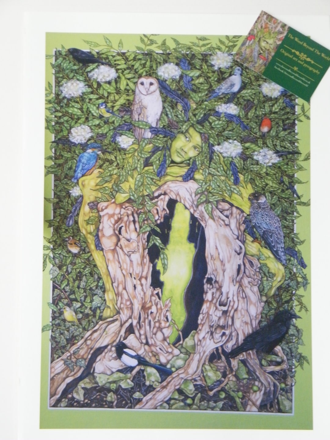 Print: 'june - the Door of the Year' - Etsy