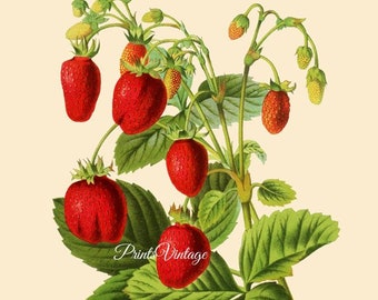 Strawberry printable | Etsy