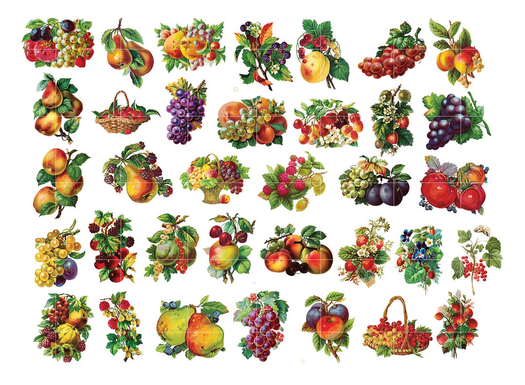 Vintage Fruit Clipart, Instant Download, Commercial Use - Etsy