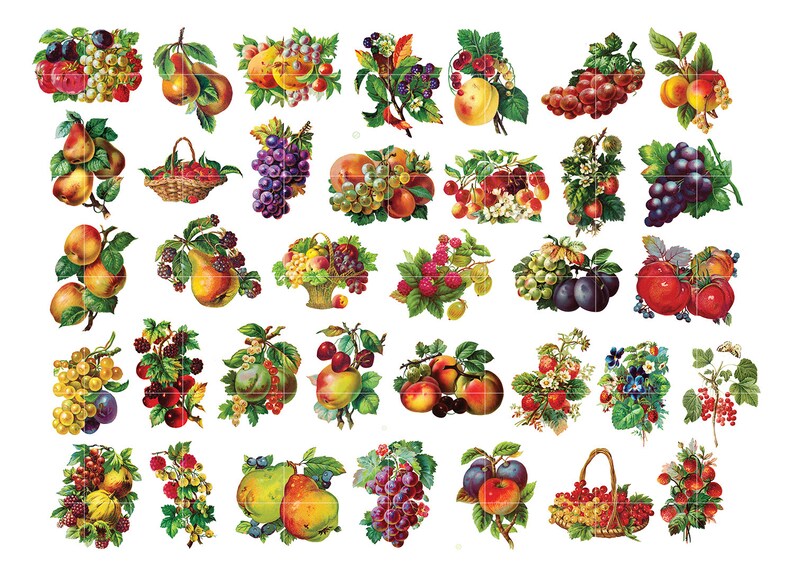 Vintage Fruit Clipart, Instant Download, Commercial Use - Etsy