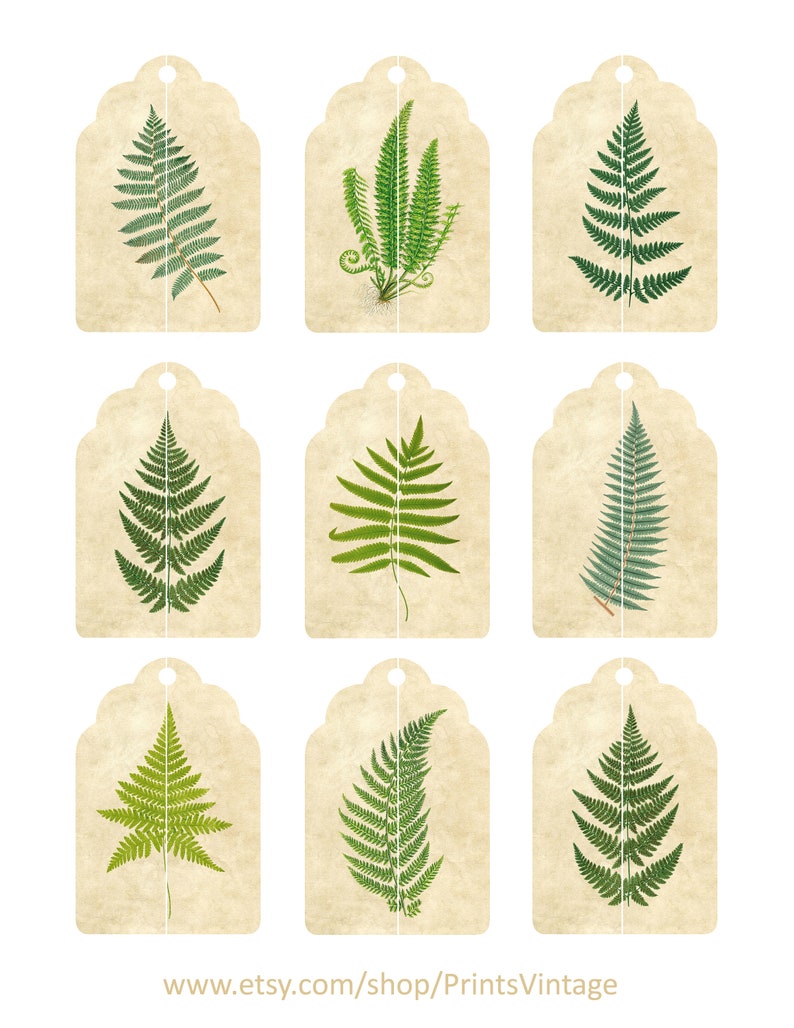 Ferns Printable Gift Tags Instant Download - Etsy