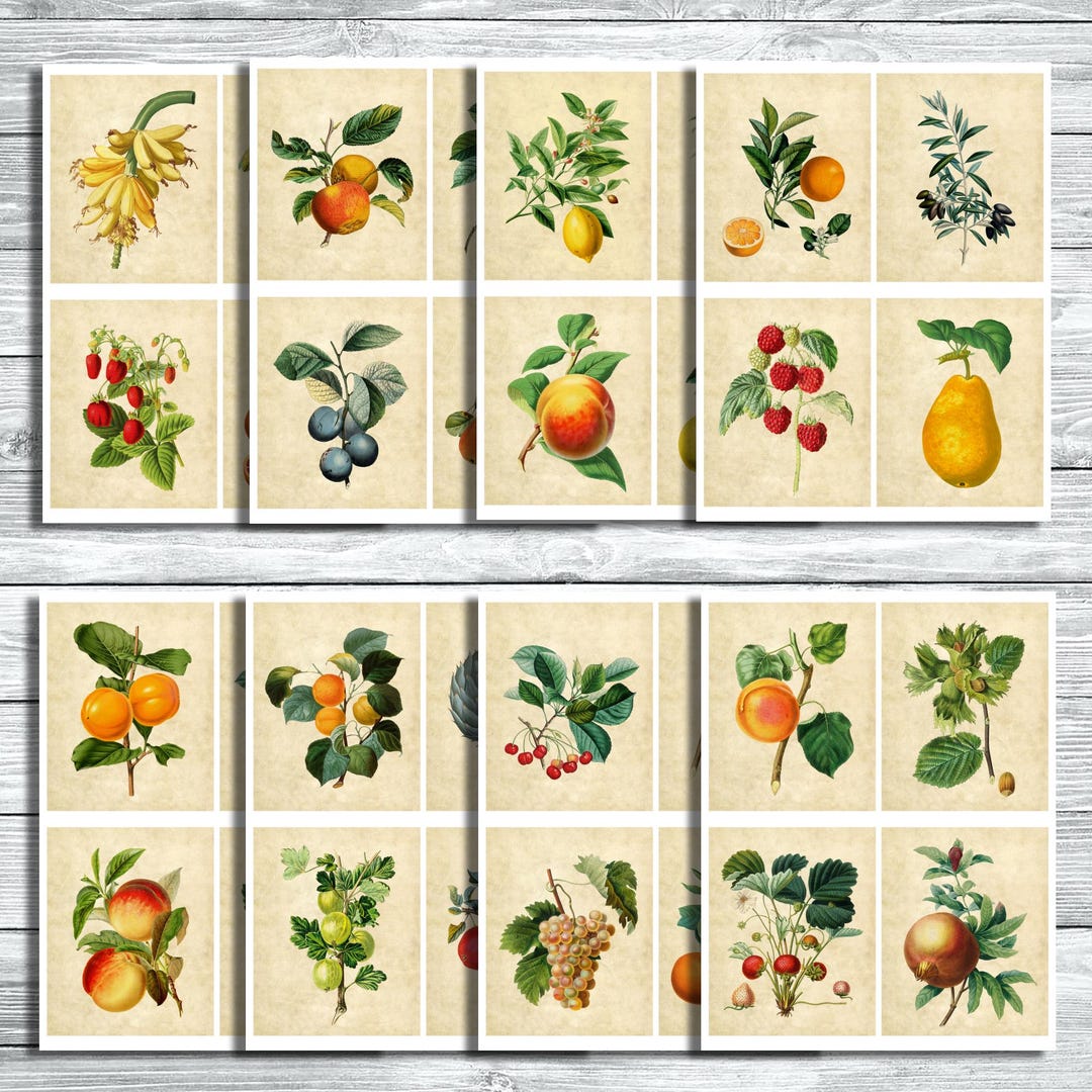 8 Fruits Printable Collage Sheets Set 1, Printable Images, Instant ...
