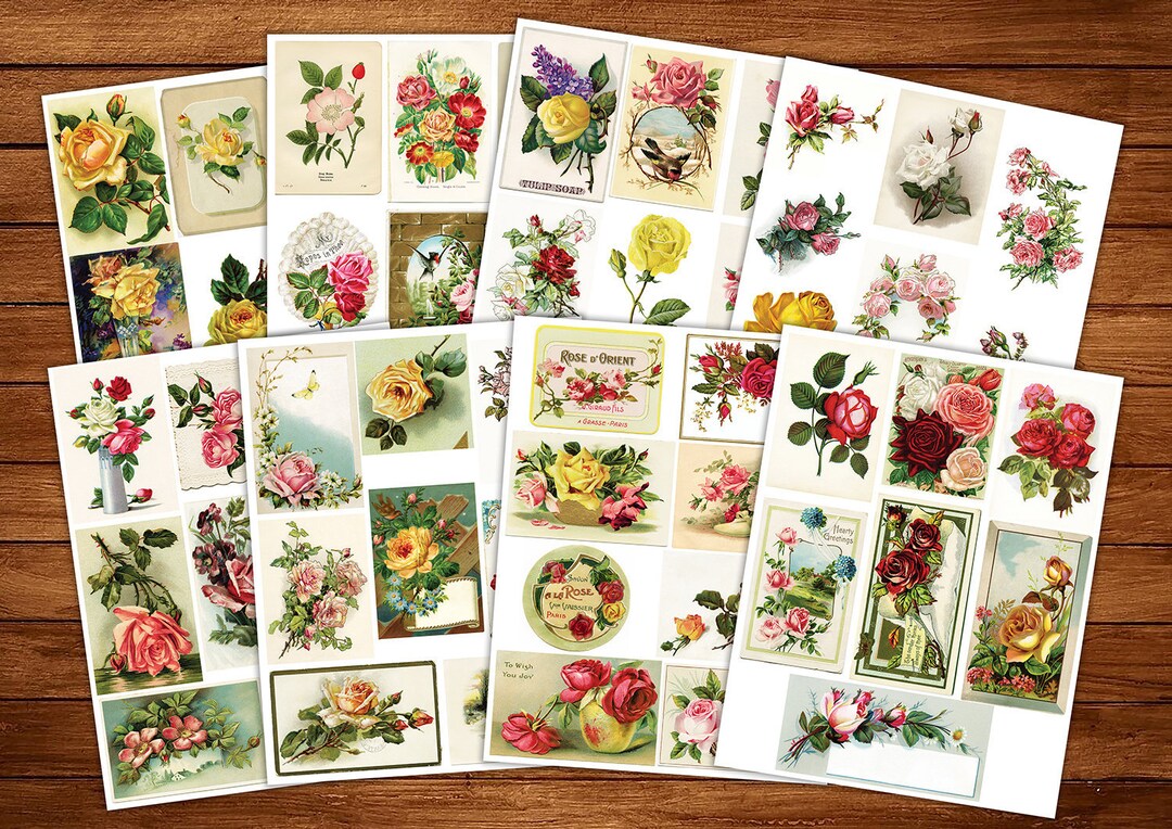 8 Rose Printable Collage Sheets, Instant Download - Etsy