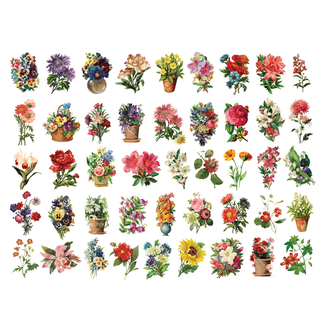 Vintage Flowers Clipart, Instant Download, Commercial Use - Etsy