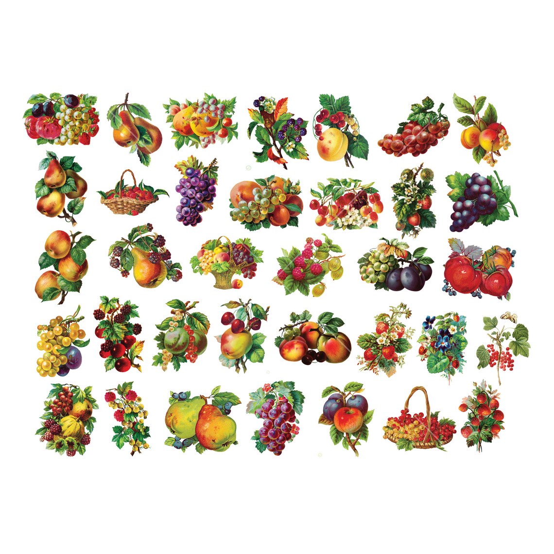 Vintage Fruit Clipart, Instant Download, Commercial Use - Etsy