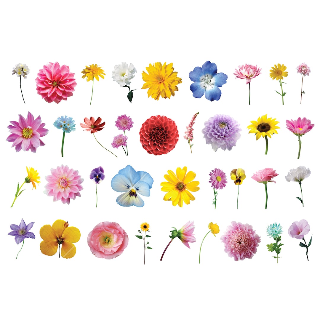 36 Colorful Flowers Clipart, Instant Download, Commercial Use - Etsy