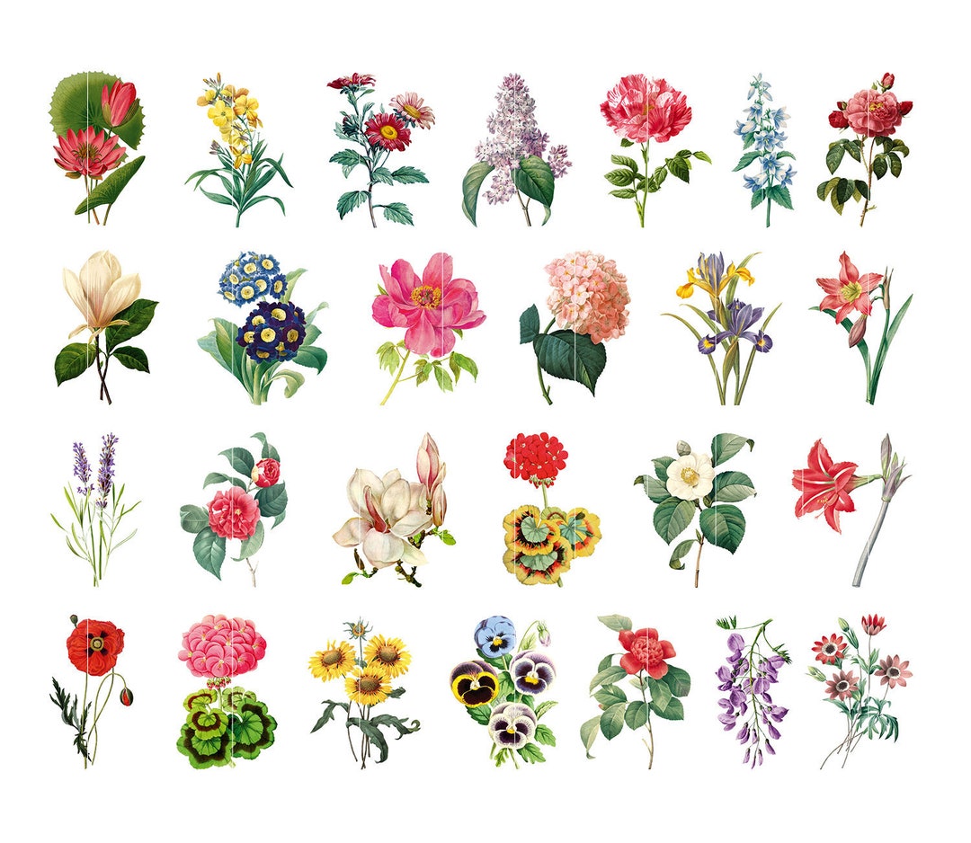 Vintage Flower Clipart, Instant Download, Commercial Use - Etsy