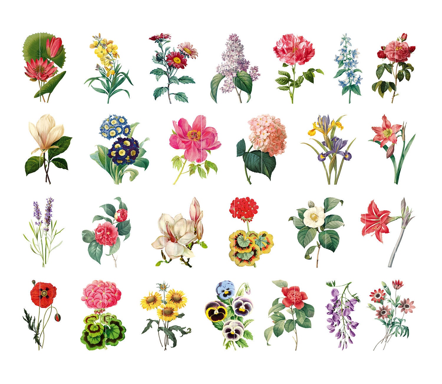 Vintage Flower Clipart, Instant Download, Commercial Use - Etsy