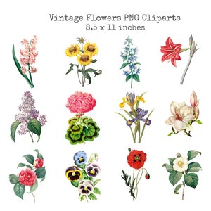 Vintage Flower Clipart, Instant Download, Commercial Use - Etsy