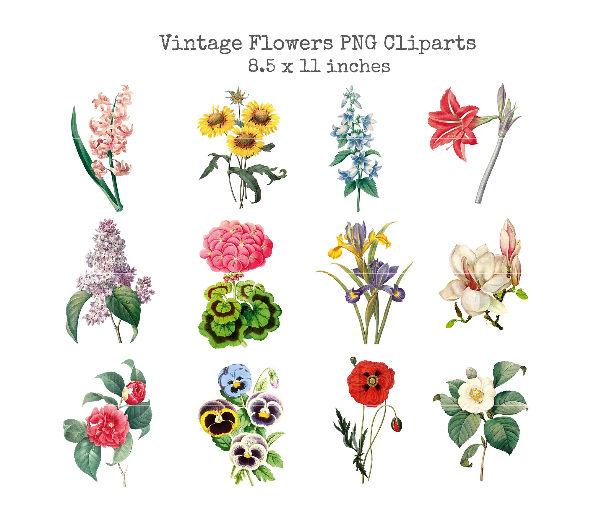 Vintage Flower Clipart, Instant Download, Commercial Use - Etsy