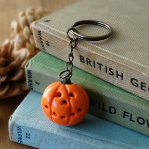 By the Shed Pumpkin Halloween Keyring Key Chain - Orange Trick or Treat ...