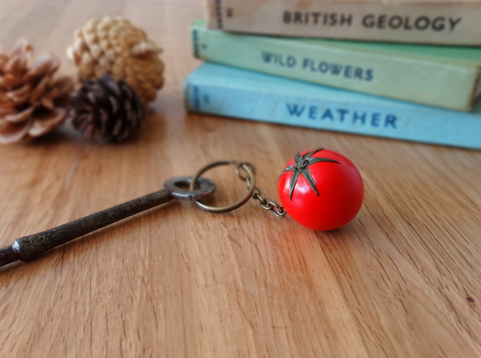 By the Shed Tomato Keyring Key Chain - Red Fruit - Keys - Fruit ...