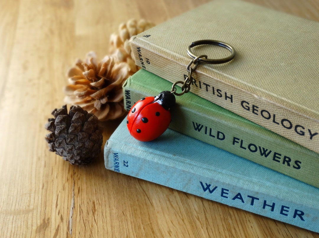 By the Shed Ladybird Keyring - Lady Bug, Insect, Gardening - Vegetable ...