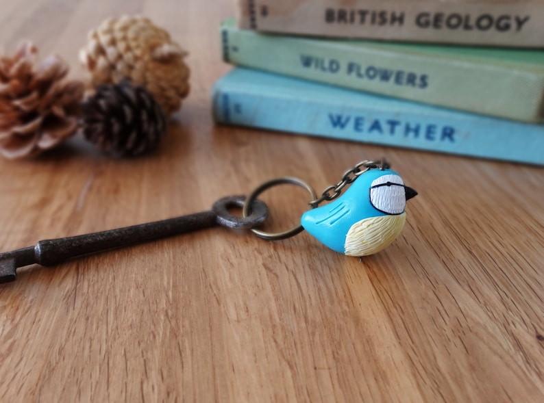 By the Shed Blue Tit Bird Keyring Blue Yellow White Garden | Etsy