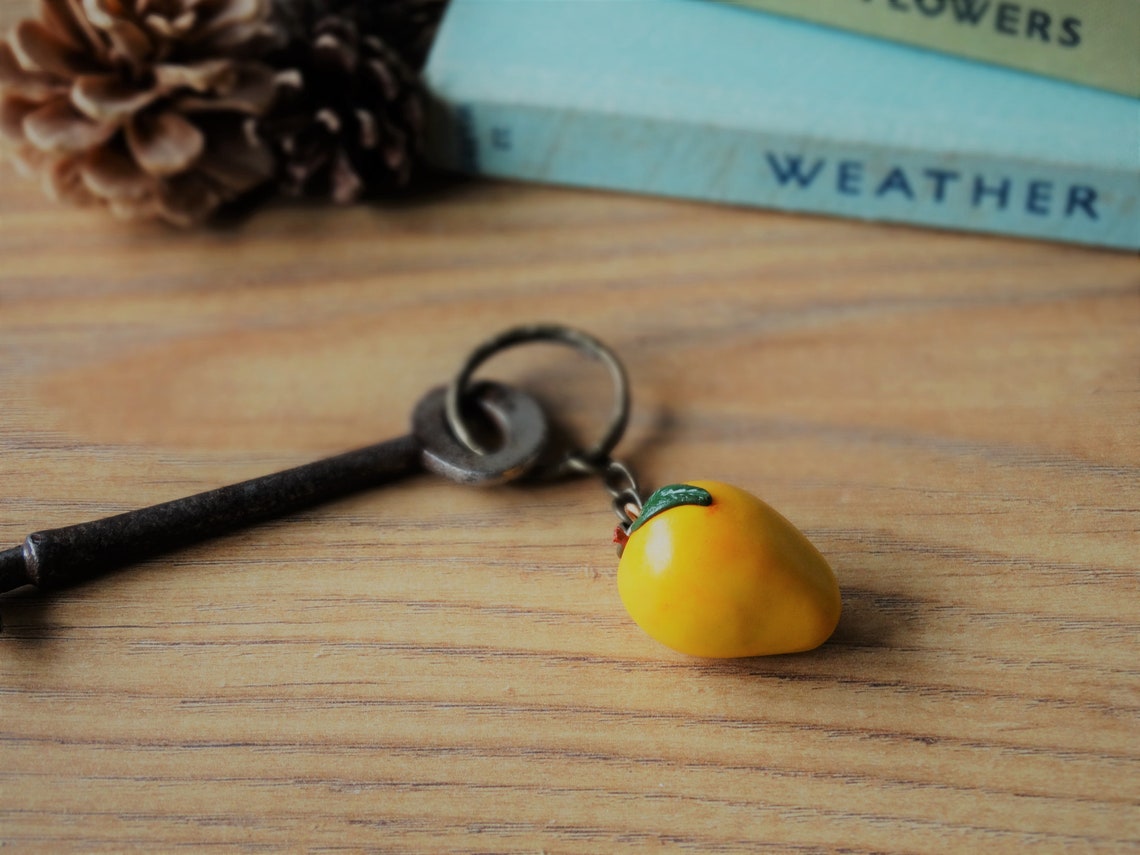By the Shed Mango Tropical Fruit Keyring Key Chain Yellow - Etsy UK