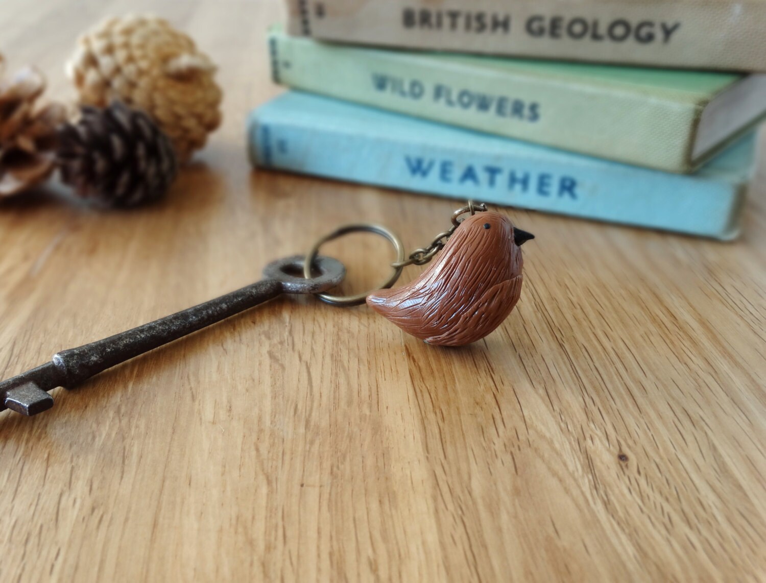 By the Shed Wren Bird Keyring - Brown - Birds, Garden, Allotment, Jenny ...