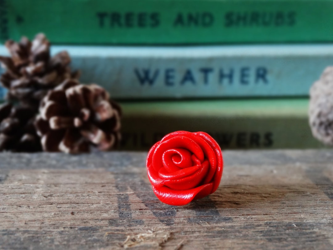 By the Shed - Red Rose Pin Badge - Flowers - Garden - Gardening - Gift ...