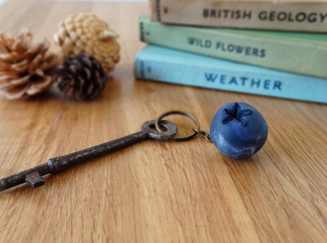 By the Shed Blueberry Keyring - Fruit - Vegetables - Gardening - Gift ...