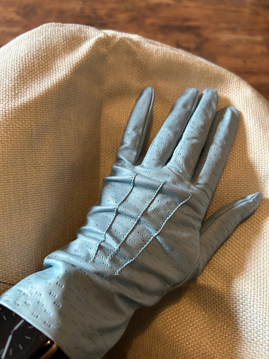 Regency Style Powder Blue Kid Day Gloves - Etsy