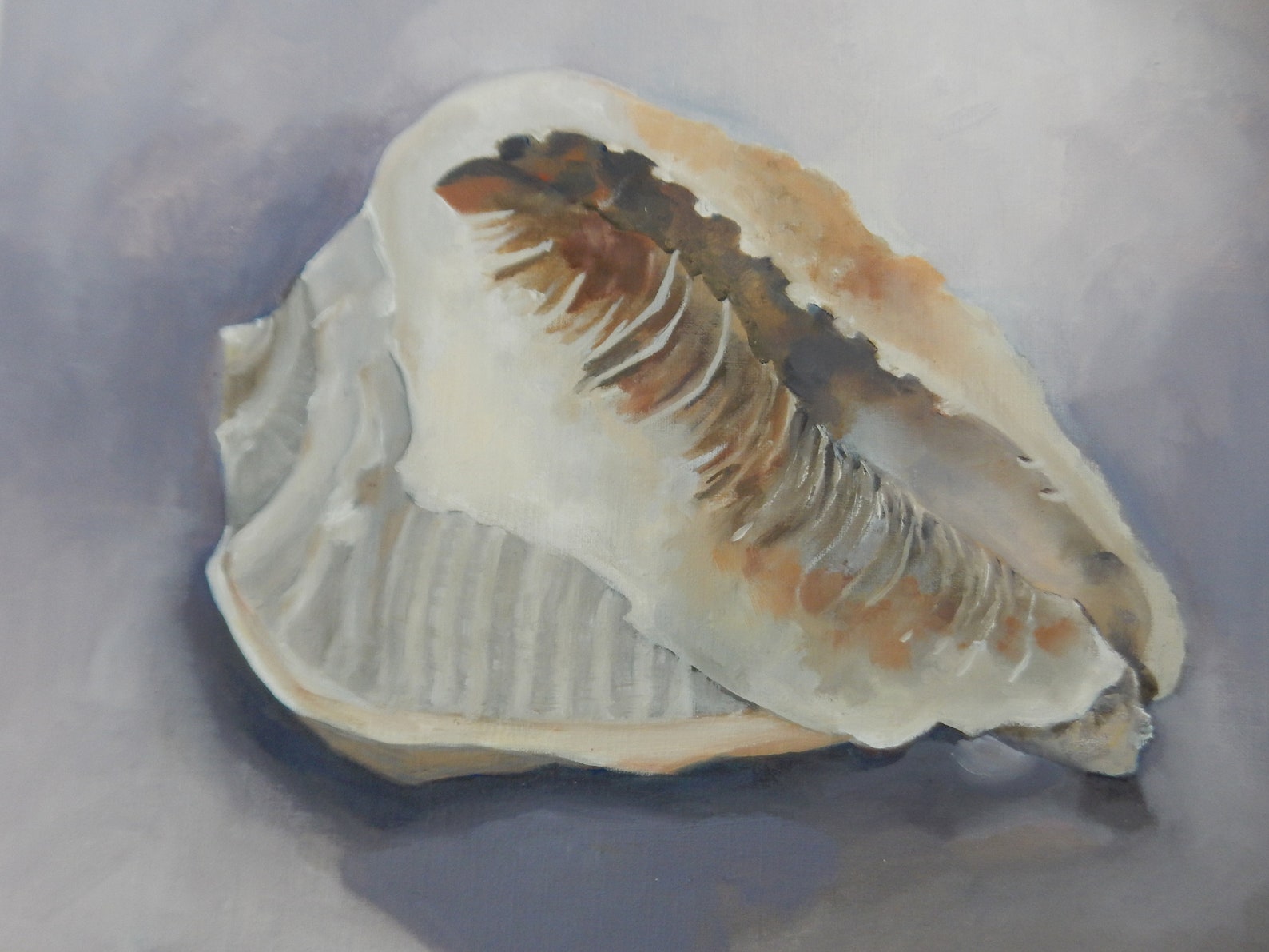 Shell Painting. Conch Shell Painting. Original Art. Oil on | Etsy